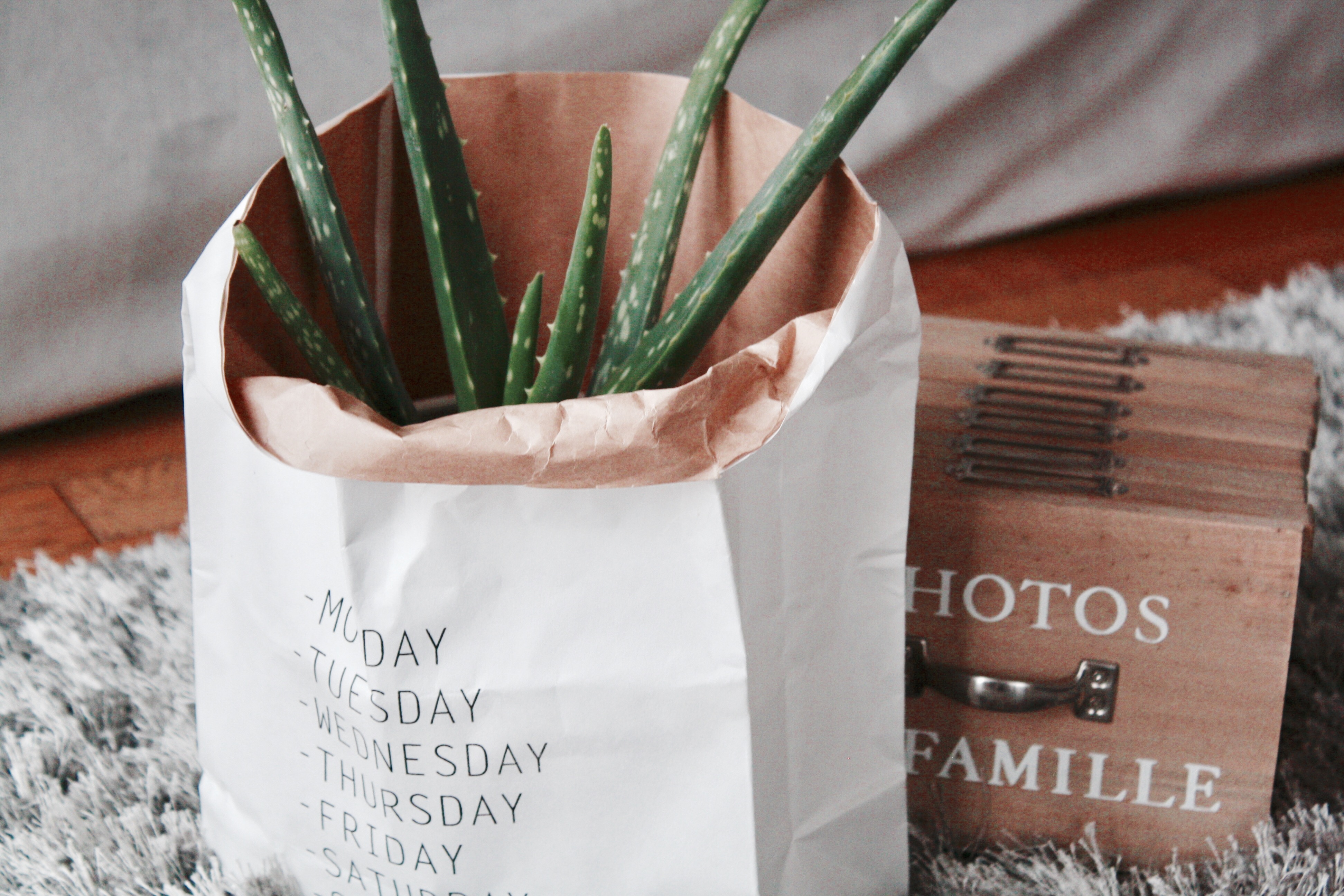 Paper Bag : Astuce Gimmick Pratique | Begimmick